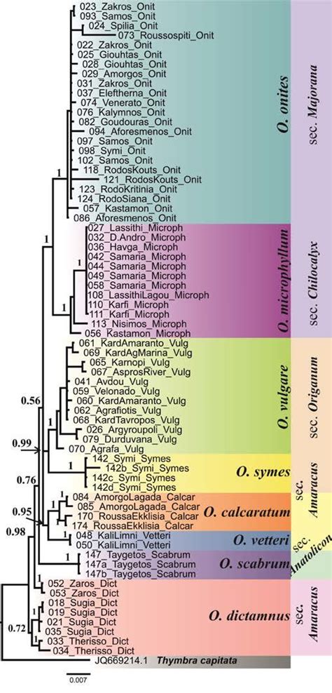 Bayesian Inference Tree Based On Three Nuclear Loci Ets Download