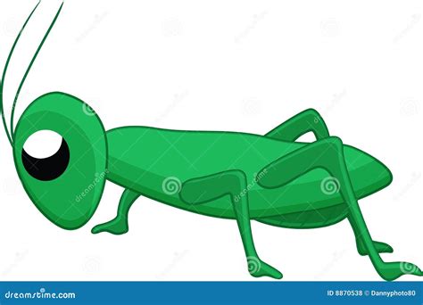 Grasshopper Stock Vector Illustration Of Staring Sitting 8870538
