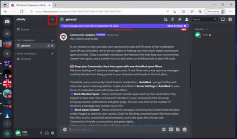 fix discord server owner crown not showing techcult