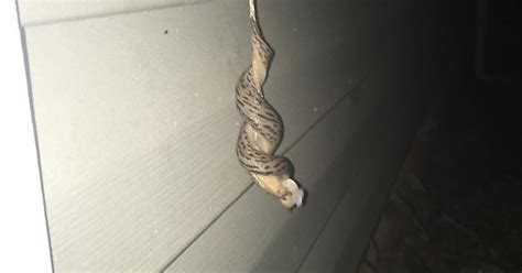 Slug Sex I Think Album On Imgur