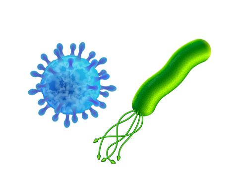 Premium Vector Virus And Bacteria Difference In Structure Of The Virus And Bacteria Cells