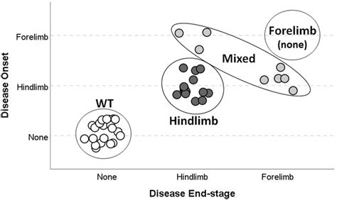 Als Phenotype Classification System Based On Pattern Of Limb Onset And