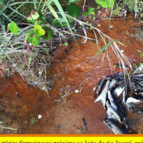 Mikaely De Almeida Universidade Estadual De Goiás Anápolis Ueg