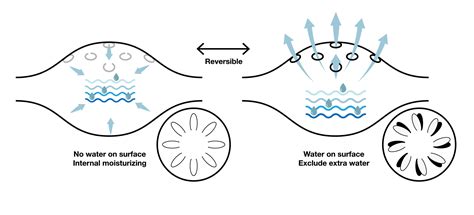 If Design Urban Smart Fiber Soil