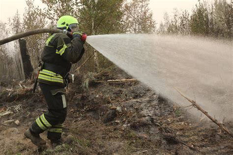 «Новая газета Рязань Власти заявили об одном очаге лесного пожара в Рязанской области