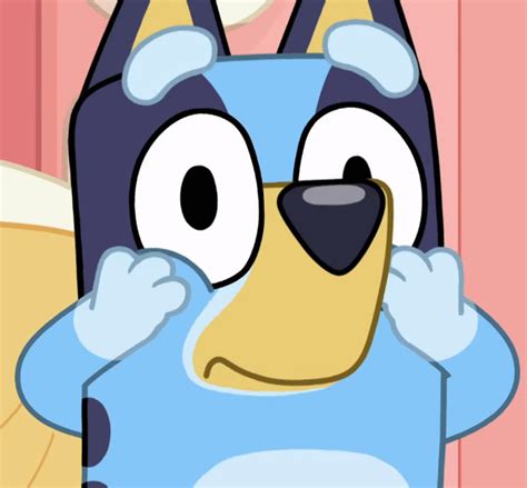 Screenshot Bluey Being Worried S01e32 By Shiyamasaleem On Deviantart