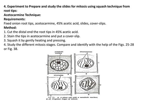 Cell Biology Experiments Pptx