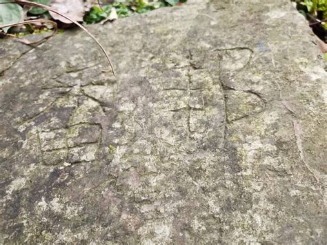 Nginx性能调优要点