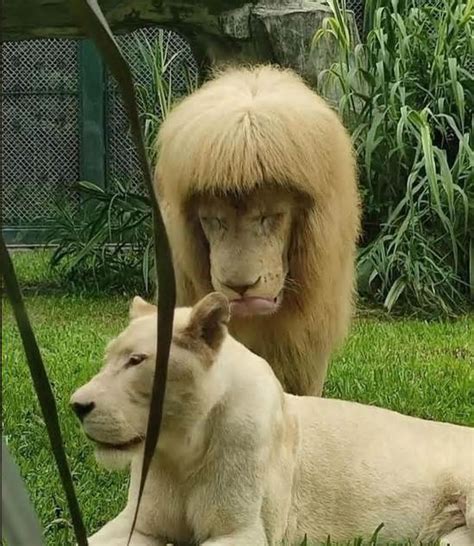 한국 땅 쓸어 담는 중국인들…돈만 있으면 다 돼 띵호와 Sbs 친절한 경제