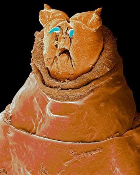 Swords And Stitchery Old Time Sewing And Table Top Rpg Blog Sex In Human