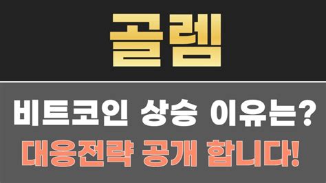 비트코인 상승 진짜이유는 골렘 대응전략 함께공개 분석호재전망 Youtube