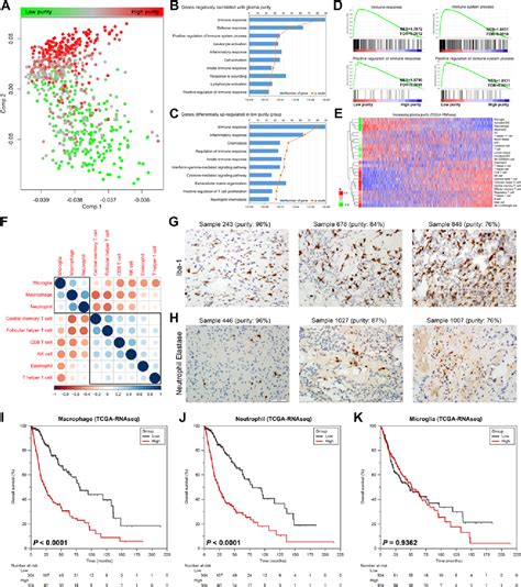 Figure 5 From Tumor Purity As An Underlying Key Factor In Glioma