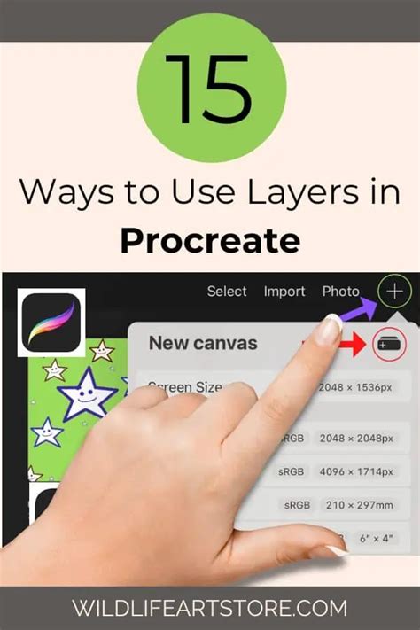 15 Essential Tips For How To Use Layers In Procreate Wildlife Art And