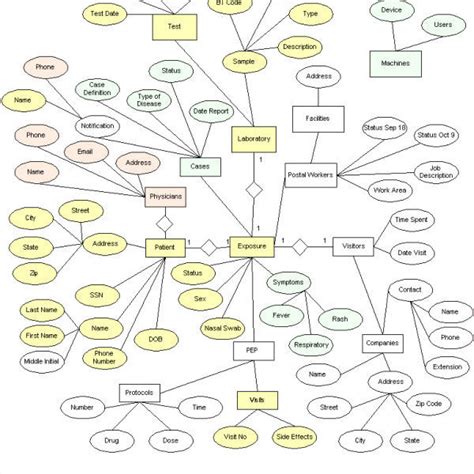 DatabaseModel Eps Example Of The Entity Relationship Diagram For The Download Scientific