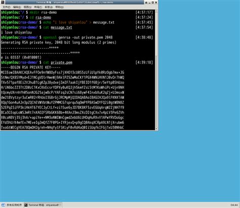 RSA算法加解密实验 蓝桥云课