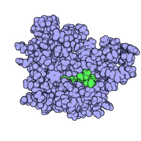 Pymol Wiki