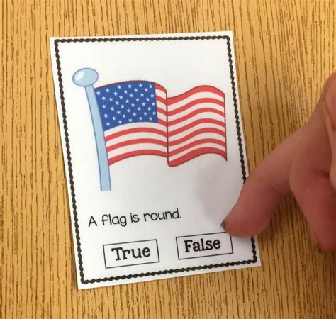 Yesno And Truefalse Task Cards The Autism Helper