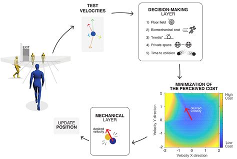 Anda A New Agent Based Model For Pedestrian Dynamics