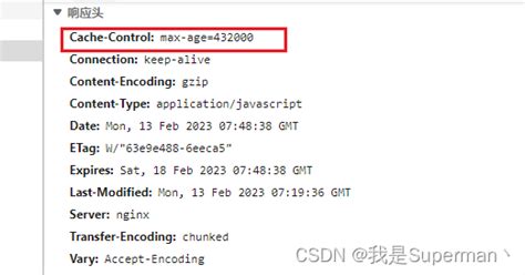 【优化】nginx设置浏览器缓存nginx Max Age Csdn博客