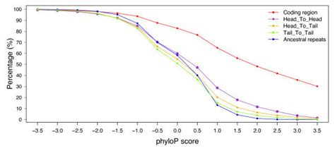 Sequence Conservation In Bidirectional Promoters The 44 Way Vertebrate