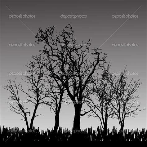 Vector Silhouette Of Tree Stock Vector Image By ©majivecka 45134741