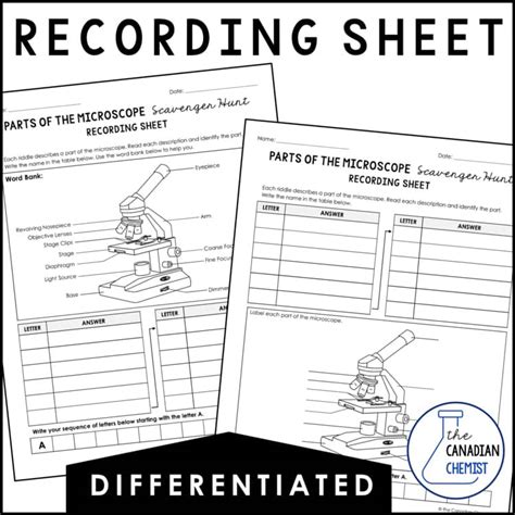 Microscope Parts And Terminology Science Activities Biology Mini Bundle