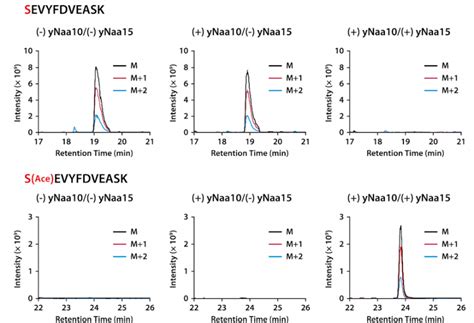 N Terminal Modification Of Cell Free Synthesized Proteins Acetylation And Myristoylation