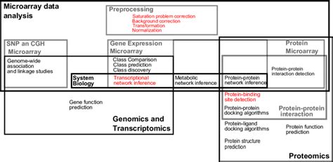 A Scheme Of Some Major Research Areas In Bioinformatics And Their