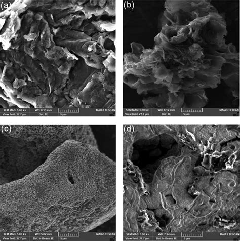 Sem Micrographs Of A Go B Rgo C Zno Nps And D Zno Rgo Download Scientific Diagram