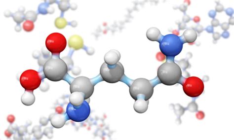 Glutamina Beneficios Usos Y Todo Lo Que Necesitás Saber