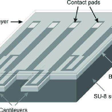 Schematic Of The Chip Design Download Scientific Diagram