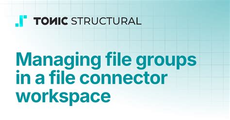 Managing File Groups In A File Connector Workspace Tonic Structural