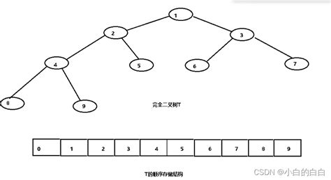 数据结构 树和二叉树的概要 EW帮帮网