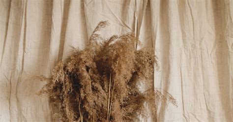 점토 꽃병 팜파스 잔디 베이지색 린넨 천을 배경으로 보헤미안 깔개에 고리 버들 바구니에 말린 프로테아 꽃 분위기 있는 보헤미안 스타일의 객실 세부 정보 결혼식이나