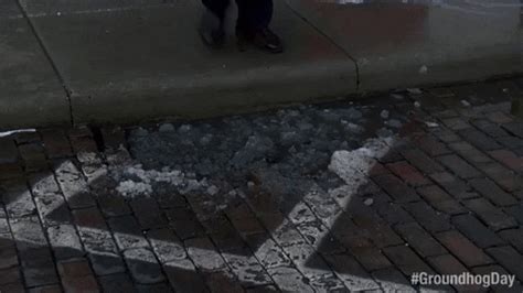 Bill Murray Puddle  By Groundhog Day Find And Share On Giphy