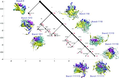 Atomistic Protein Folding Simulation The Scsc Dendrogram For Protein Download Scientific