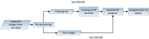 Gp Based Object Detection Technique By Nguyen Et Al [130] Download Scientific Diagram