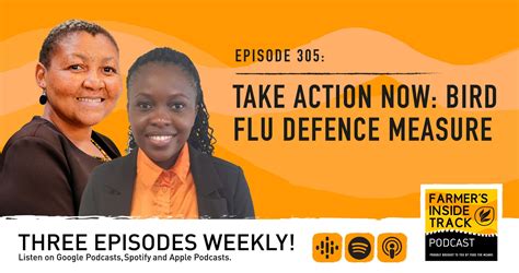 Podcast A Farmers Guide To Protecting Chickens Against Bird Flu