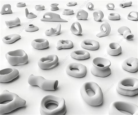 Topological Homeomorphism Illustration Stock Image F027 2805 Science Photo Library