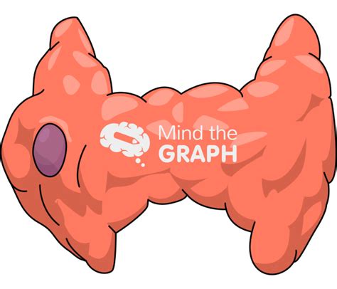 Free Thyroid Nodule Icons Symbols Pictures And Images Mind The Graph