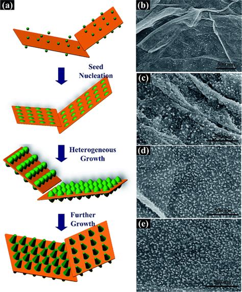 Vertically Aligned Pani Nanorod Arrays Grown On Graphene Oxide Nanosheets For A High Performance