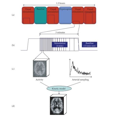 A The Fmri Experimental Protocol Consisted Of 6 Randomly Presented Download Scientific