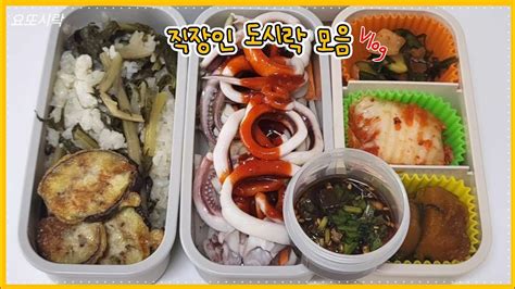 한달식비 10만원 자취생 직장인 도시락 모음 🍱 식비절약 현실 초간단 자취요리🥢닭다리살고추장구이시래기밥오징어무침버섯불고기 Youtube