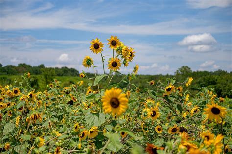 Frame Of Reference Added A New Photo Frame Of Reference