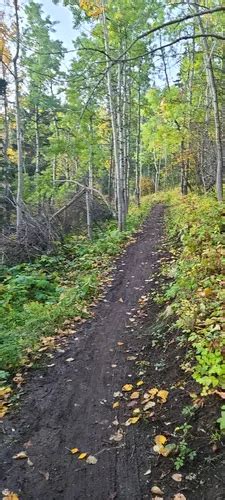 10 Best Hikes And Trails In Cypress Hills Provincial Park Alltrails