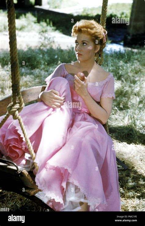 Kim Novak Picnic