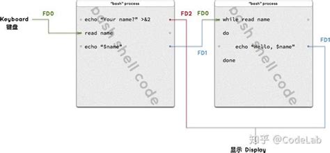 Bash 指南四篇之 Bash 是什么，它活在哪里？ 知乎