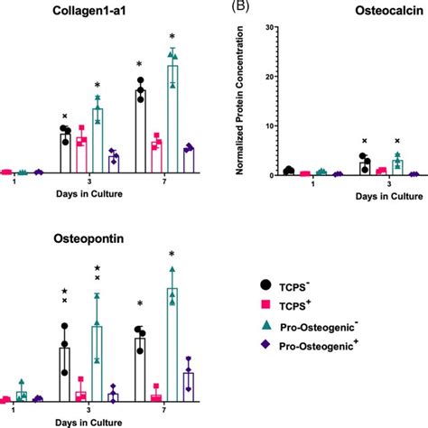 Regulation Effects Of Mirna 103 On The Expression Of Runx2 Vsmc Cells