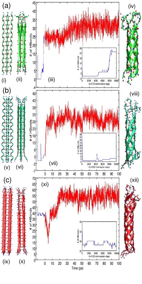 Time Evolution Of Parallel Tetrameric Beta Barrel Formation From An