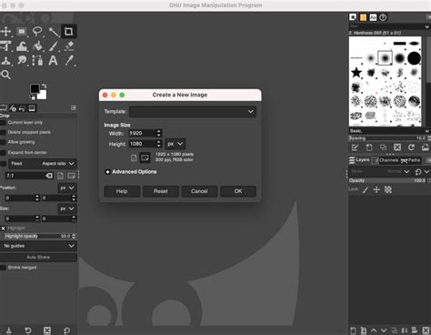 Importing Image As New Layer Rgimp